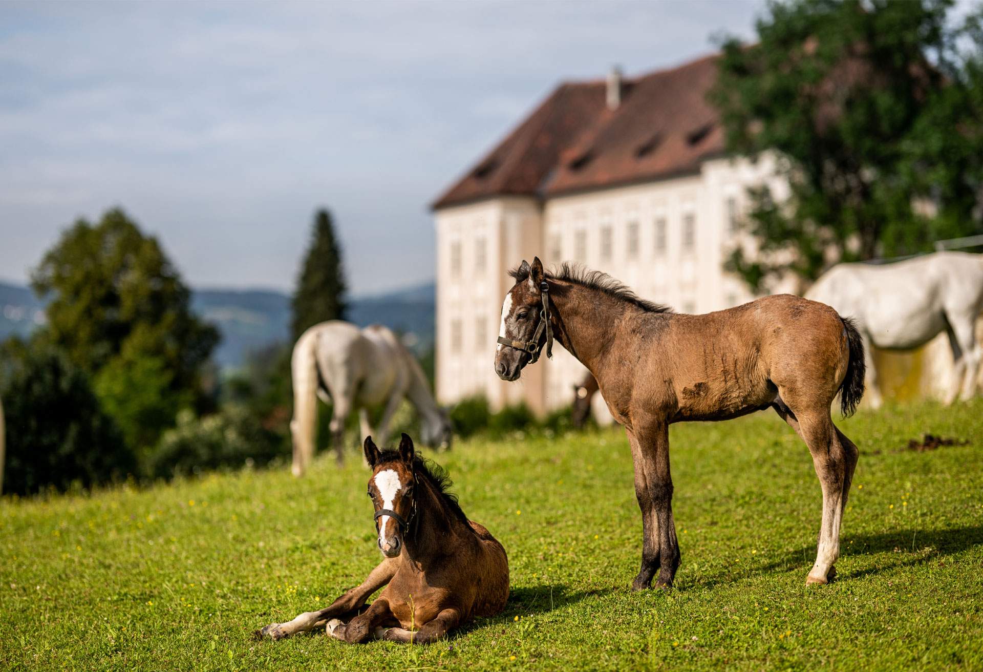 Summer vibes in the cities of Austria | Visit Austria
