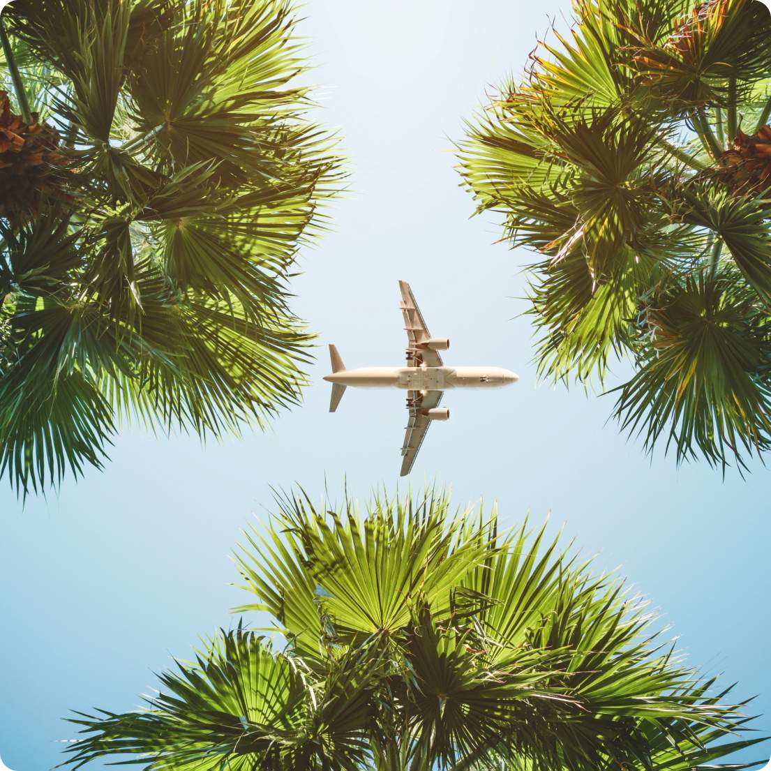 The latest travel trends