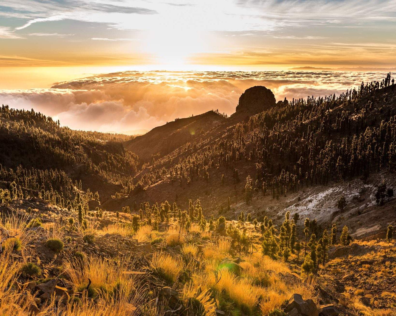 Natural wonders of Spain: the 20 most beautiful places in Spain | KAYAK