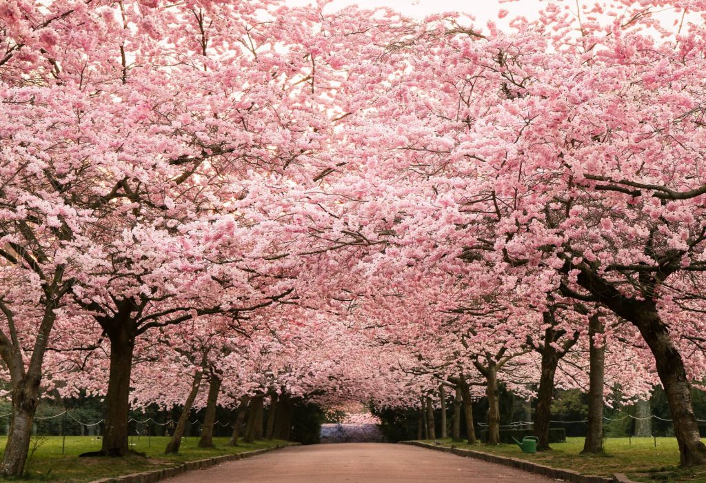 Best places to visit in May | KAYAK