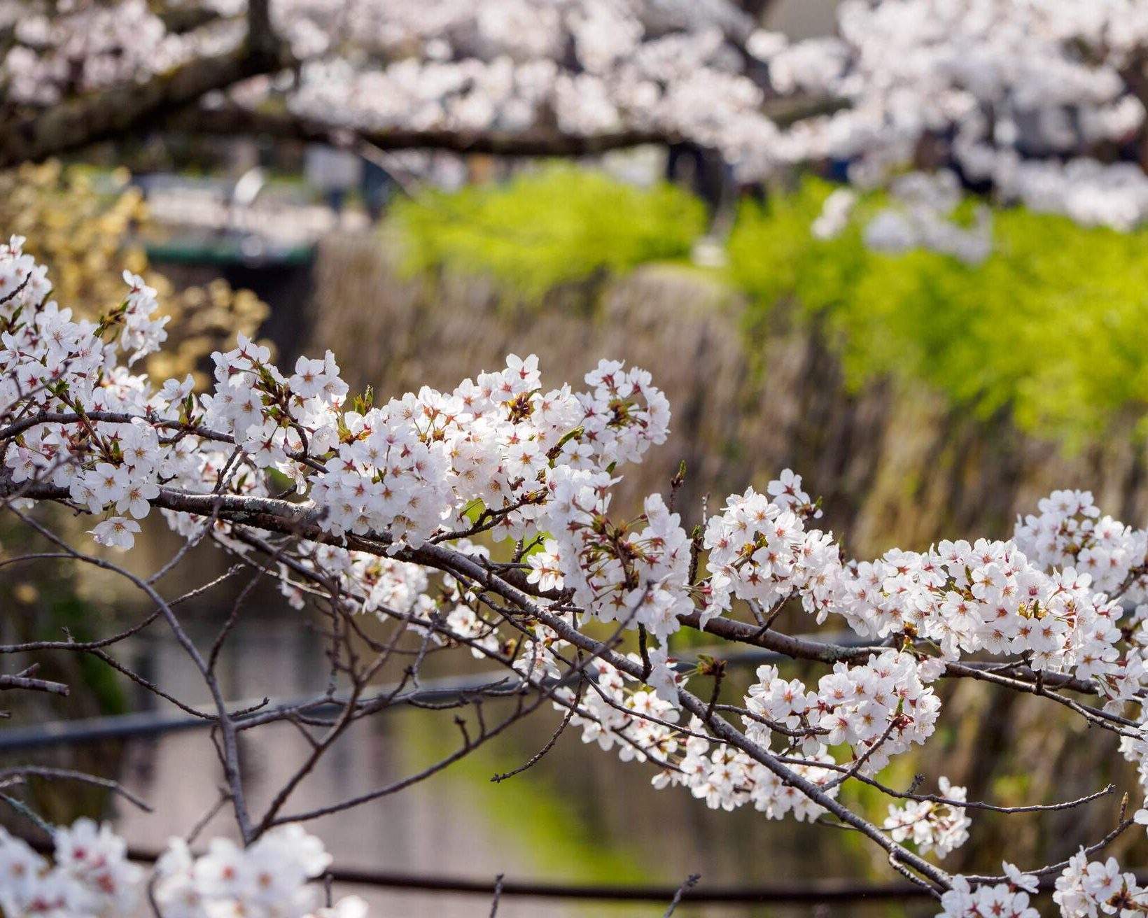 The 10 best places to visit in March 2025 | KAYAK