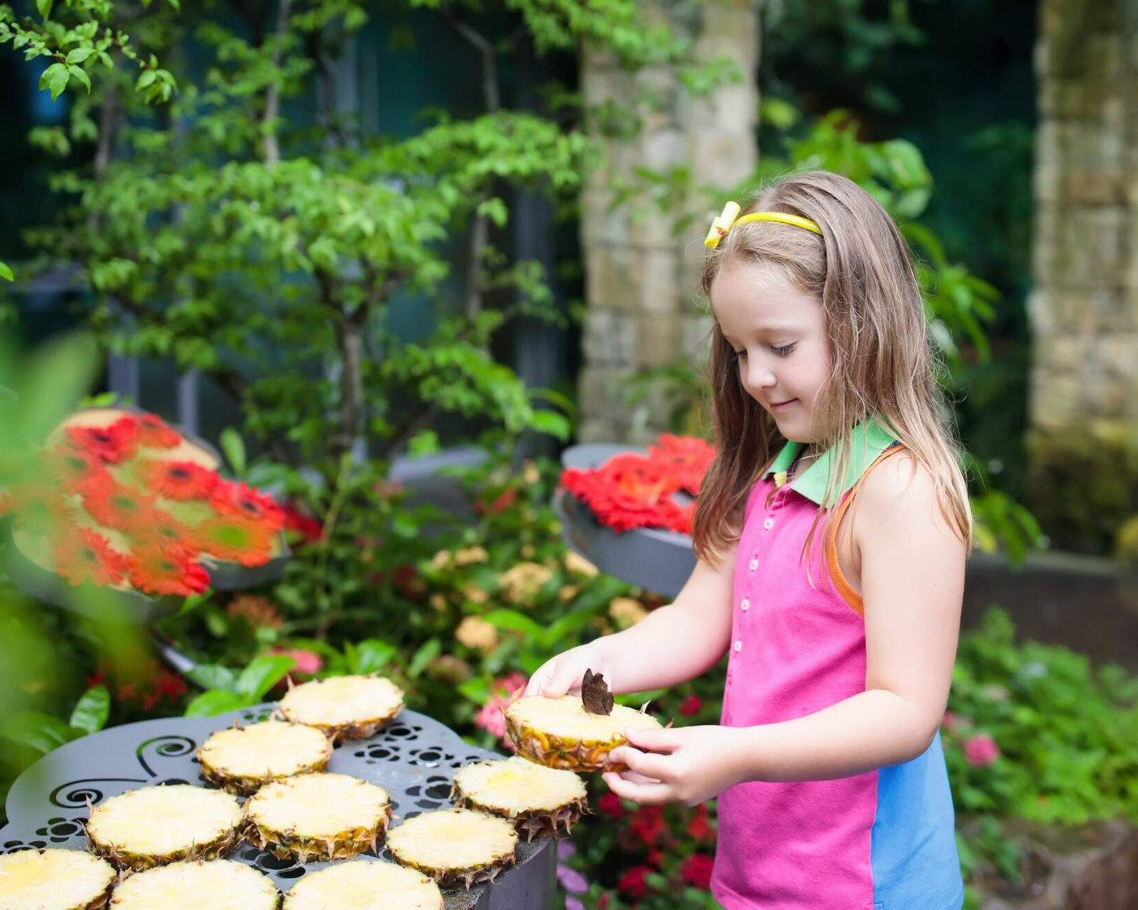 The top 10 best things to do in Devon in 2022 | KAYAK