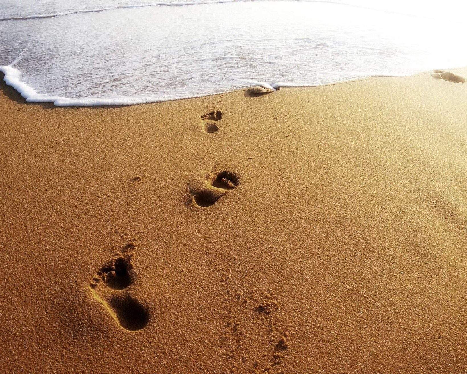 The ultimate guide to exploring the best beaches in Venice | KAYAK