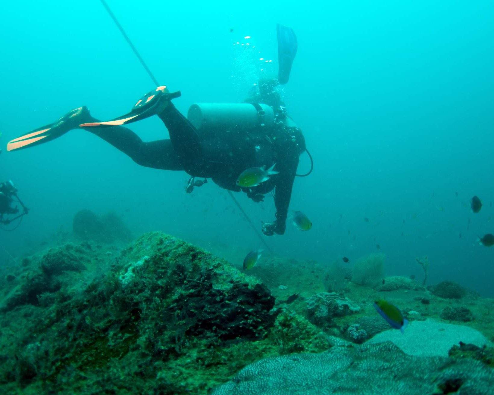 Scuba diving in Italy: all you need to know | KAYAK