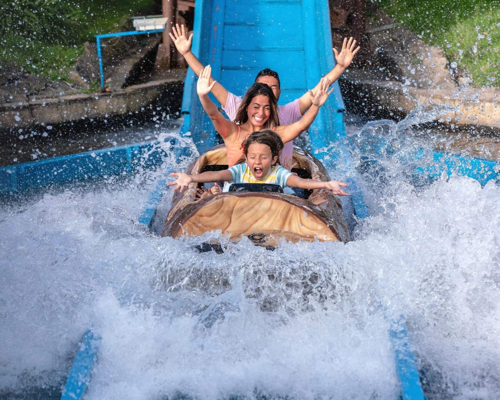 Find the best waterparks in Italy for holiday fun | KAYAK