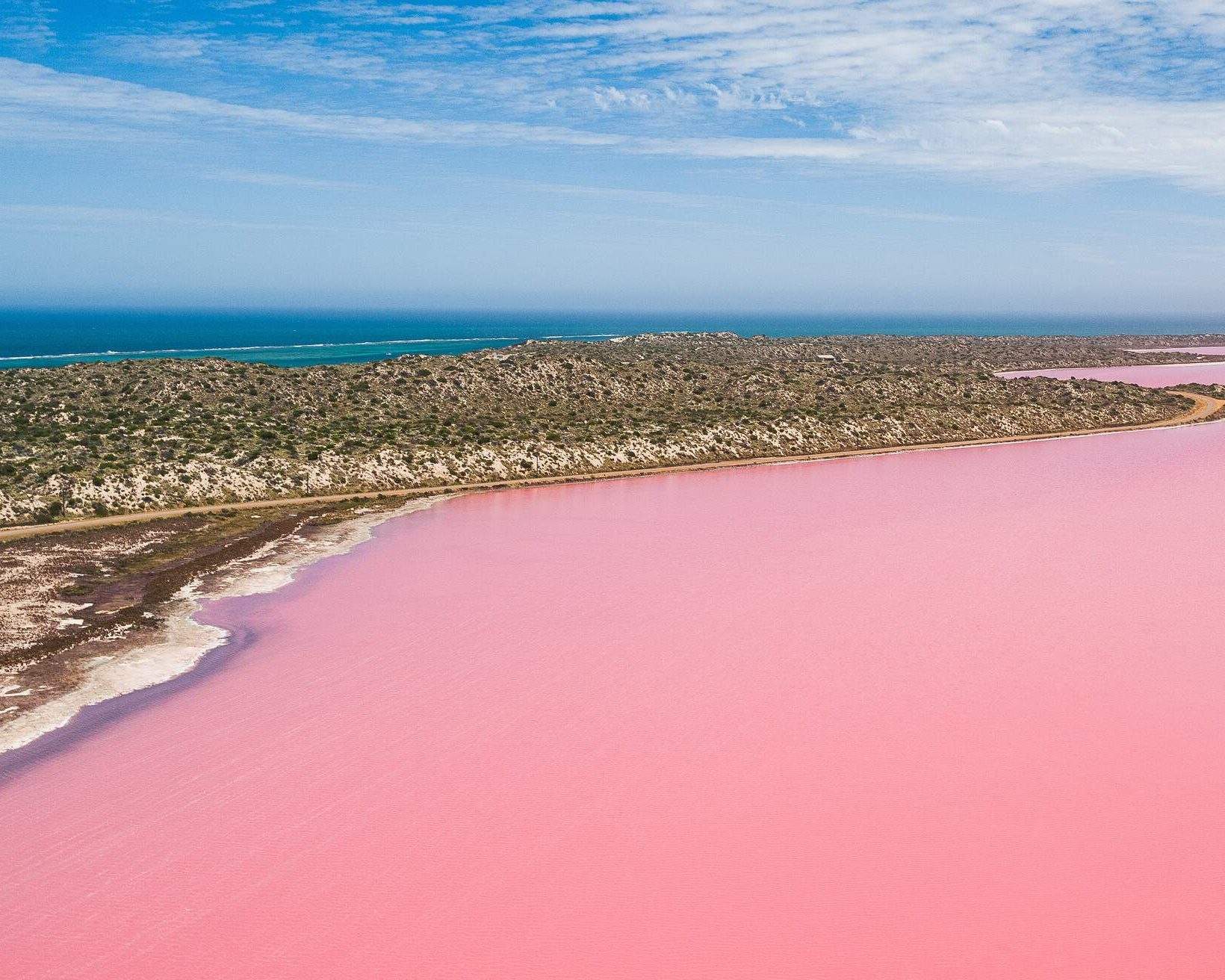 7 Pink Lakes in Australia that everyone must visit once | KAYAK