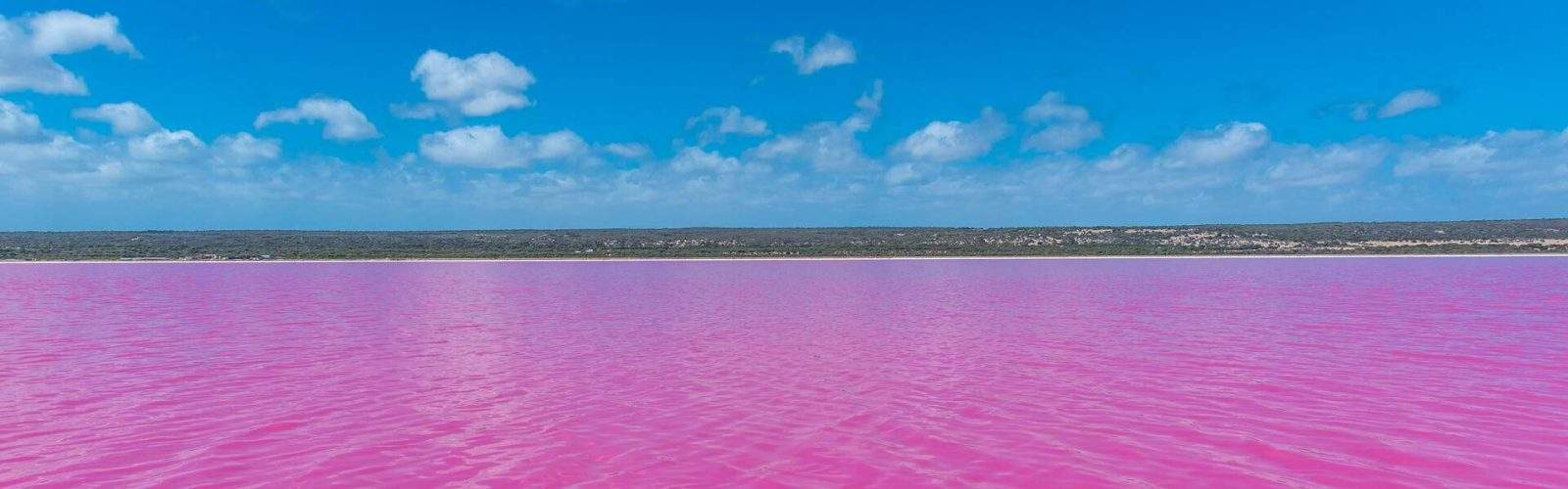 7 Pink Lakes in Australia that everyone must visit once | KAYAK