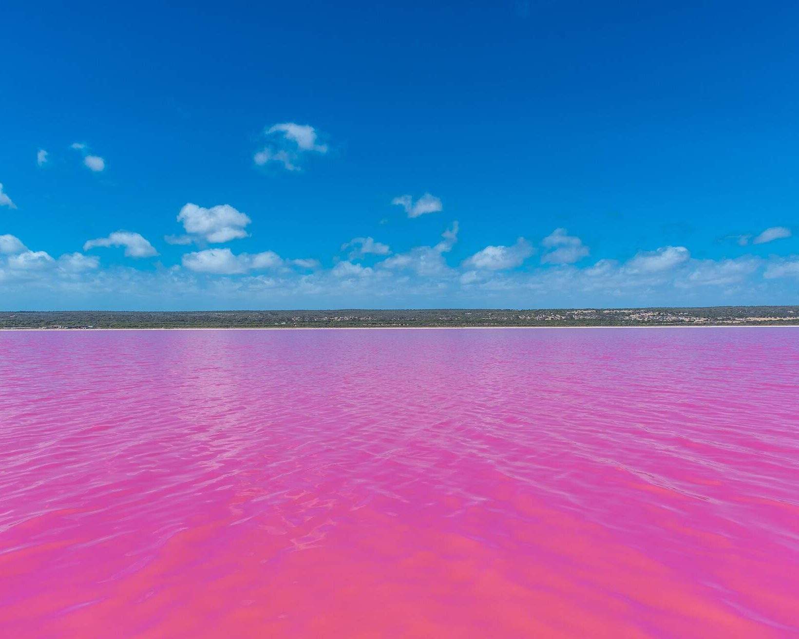 7 Pink Lakes in Australia that everyone must visit once | KAYAK