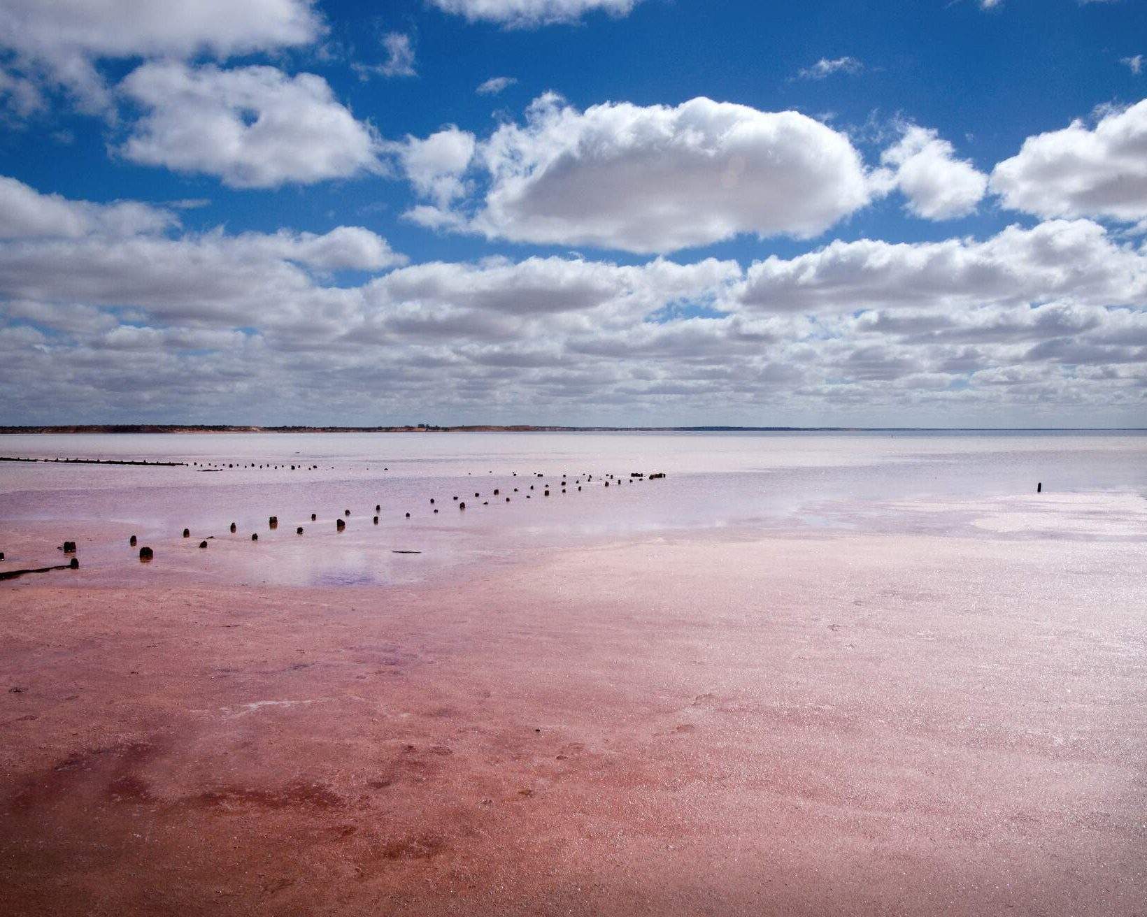 7 Pink Lakes in Australia that everyone must visit once | KAYAK