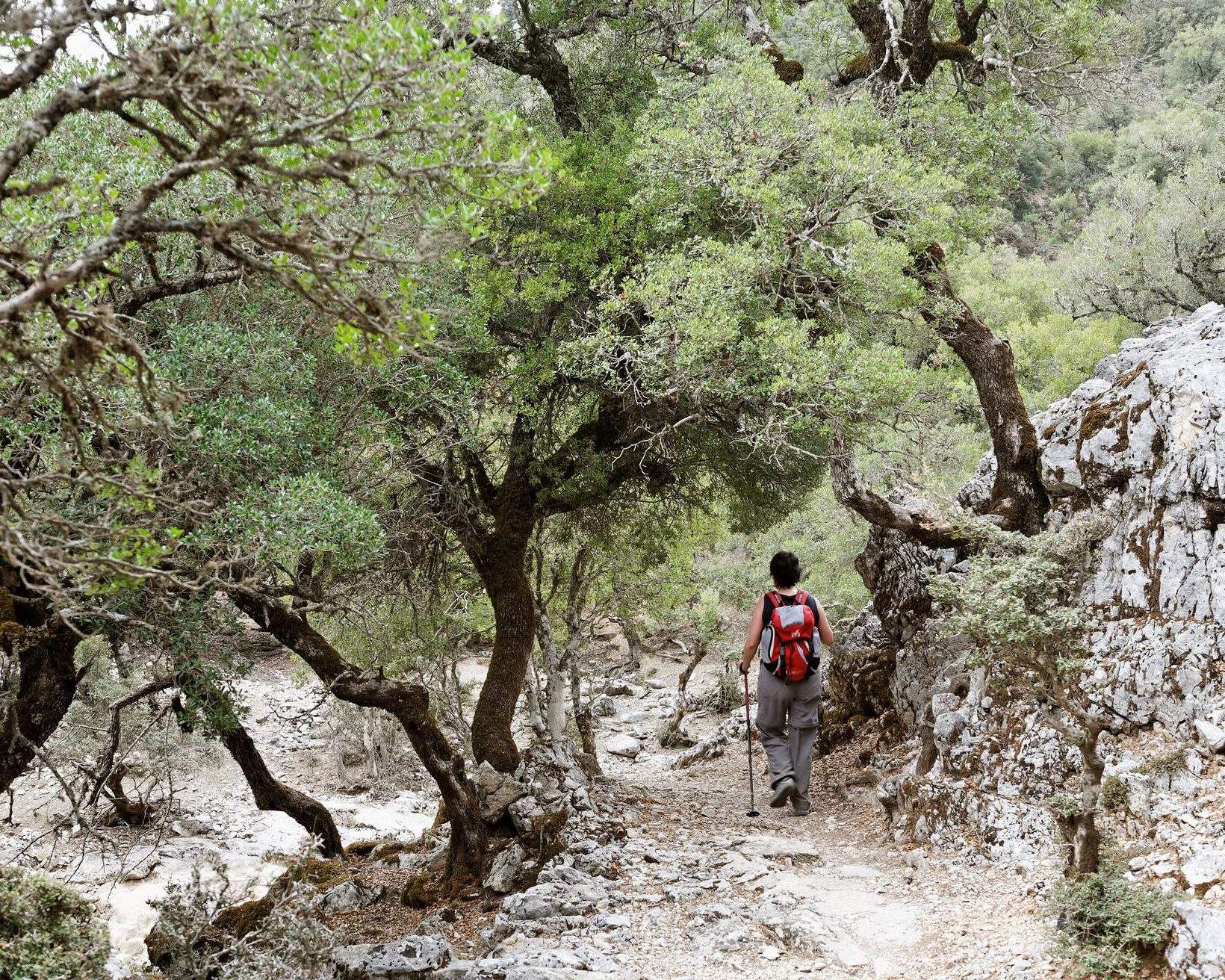 Pack your gear & come with us as we go walking in Crete | KAYAK