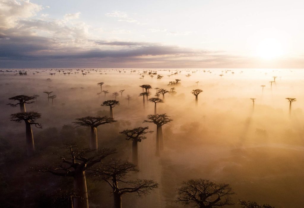 Explore different places where it is hot in October worldwide | KAYAK