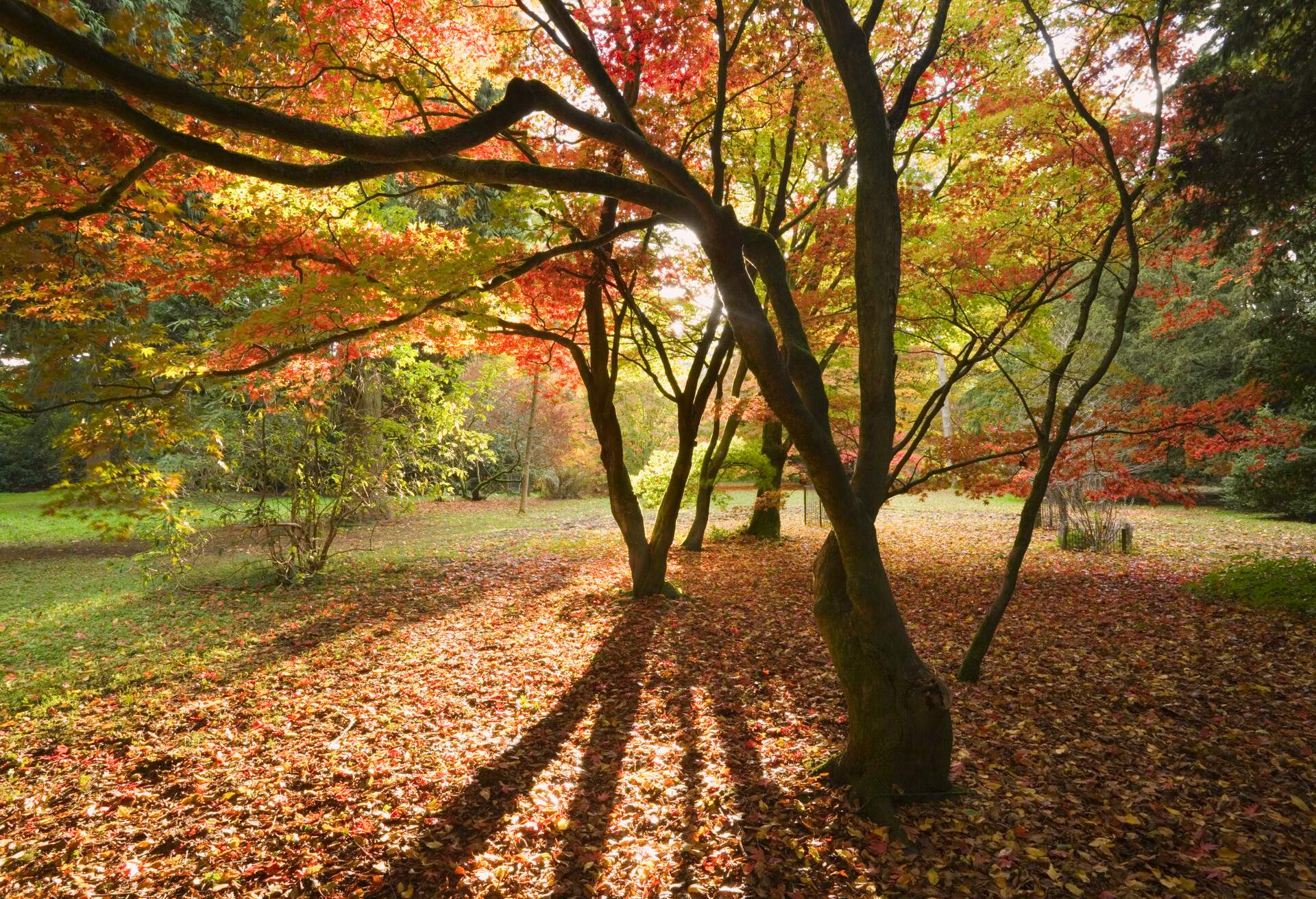 Autumn escapes: 10 best places to visit in October 2023 | KAYAK