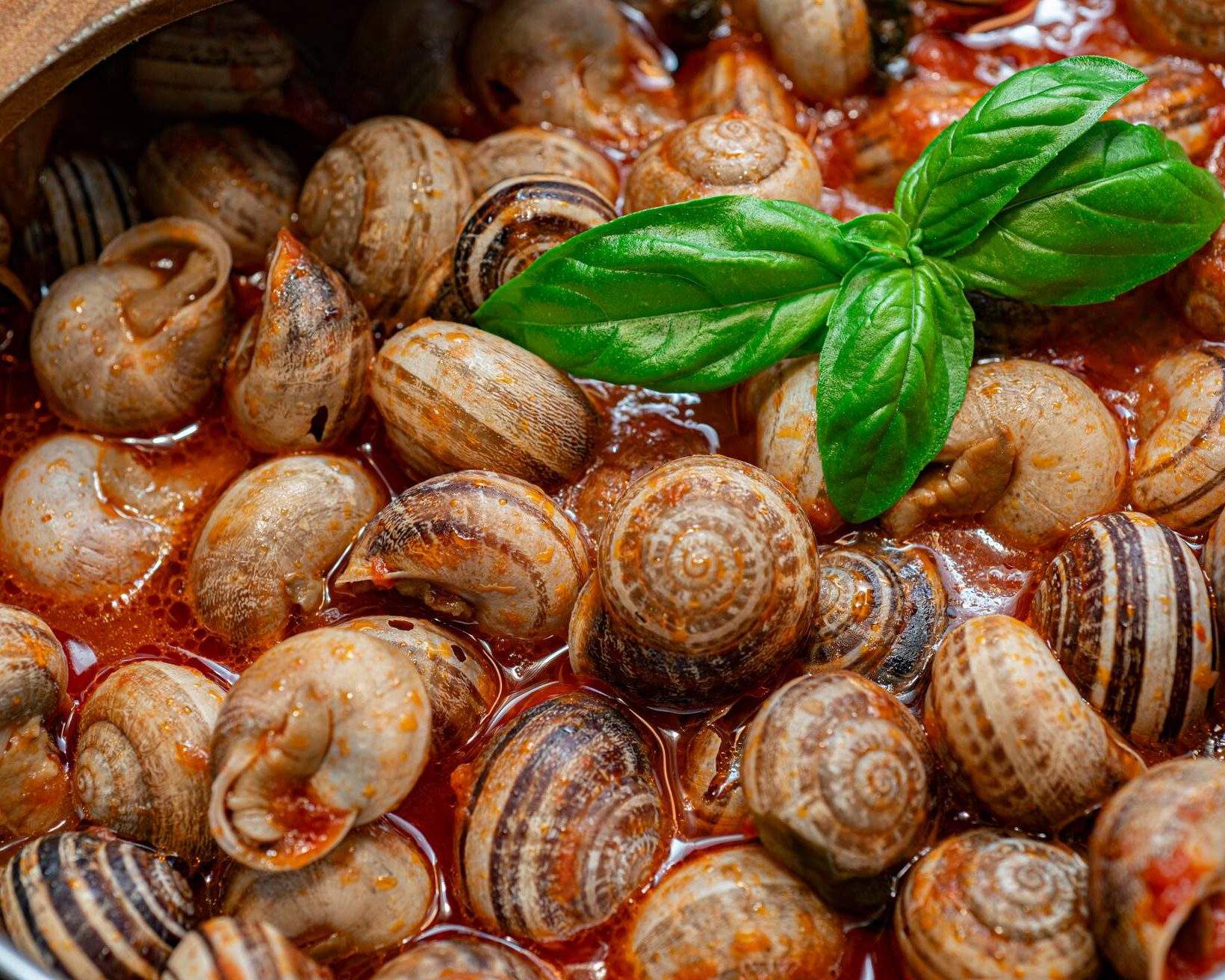 A guide to traditional Sardinian food and where to get it | KAYAK