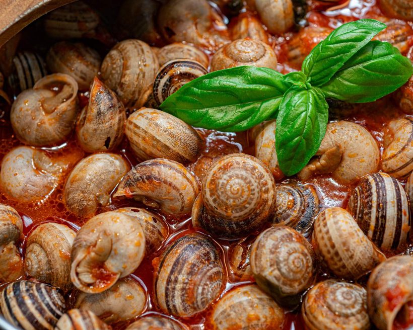 A guide to traditional Sardinian food and where to get it | KAYAK