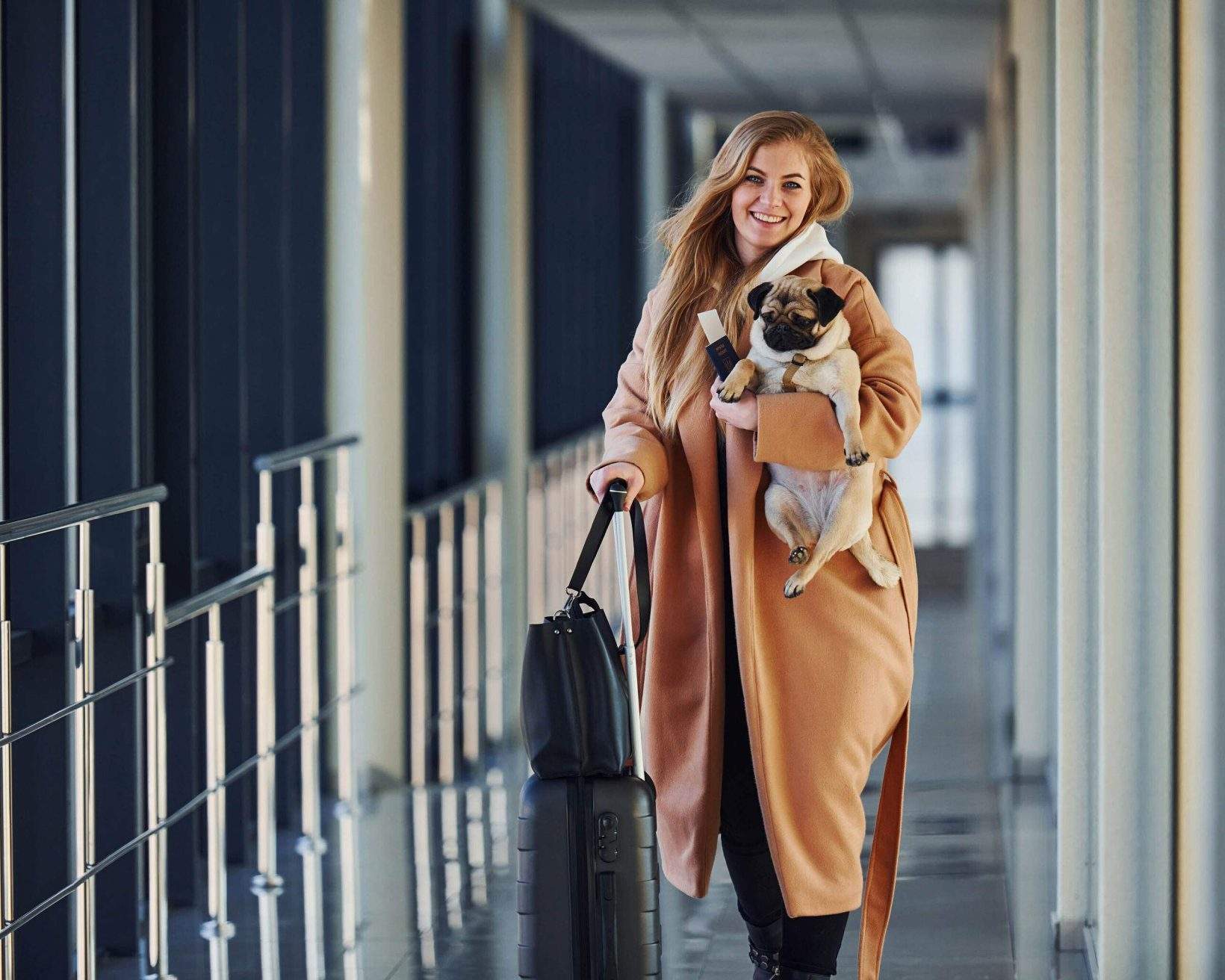 TUI hand luggage size guidelines updated for 2025 | KAYAK