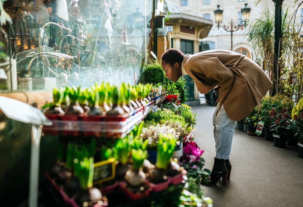 Enjoy our great guide on food markets in Paris | KAYAK