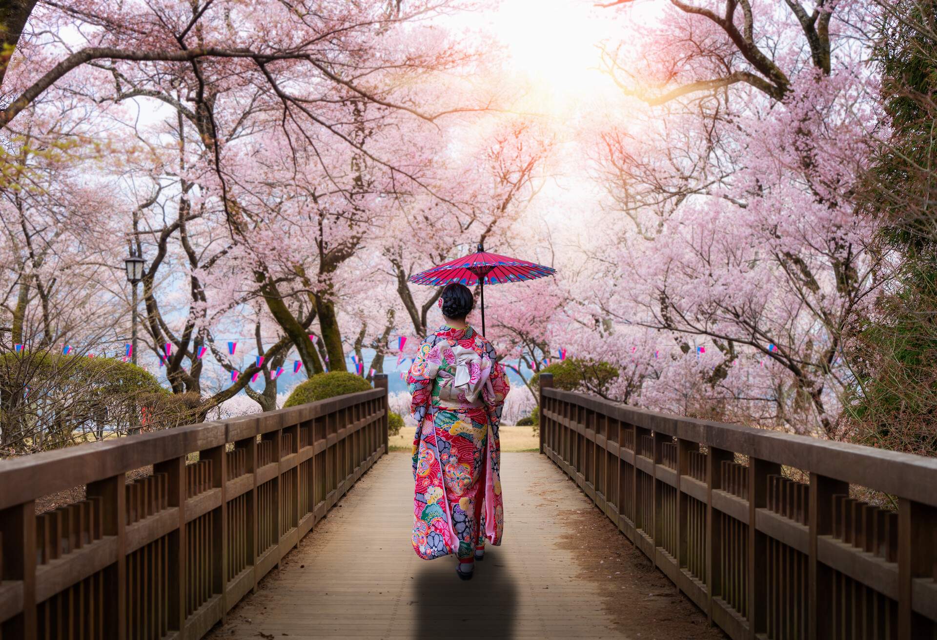 A Rough Guide To Some Of The Best Places To Visit In Japan KAYAK