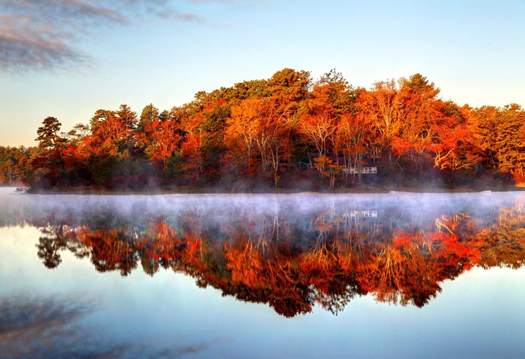 Discover the best places to see autumn leaves in the UK | KAYAK