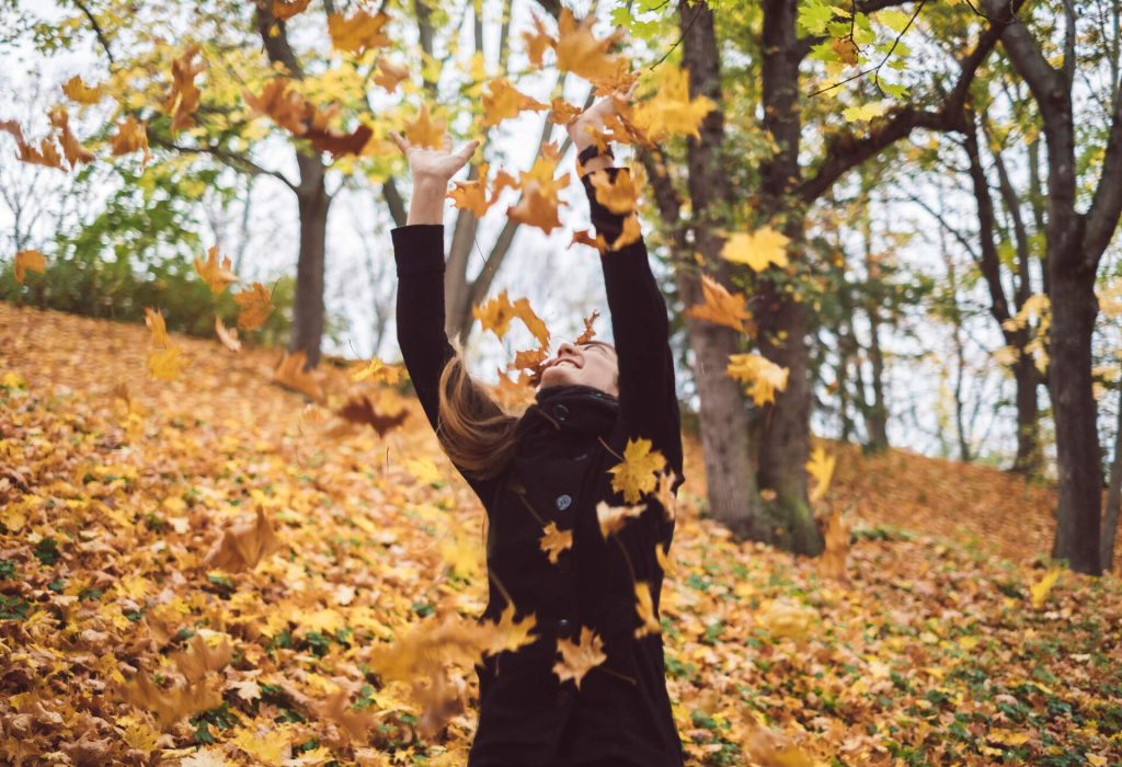 Discover the best places to see autumn leaves in the UK | KAYAK