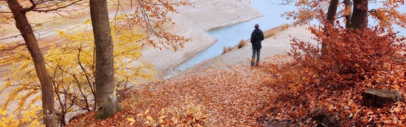 Discover the best places to see autumn leaves in the UK | KAYAK