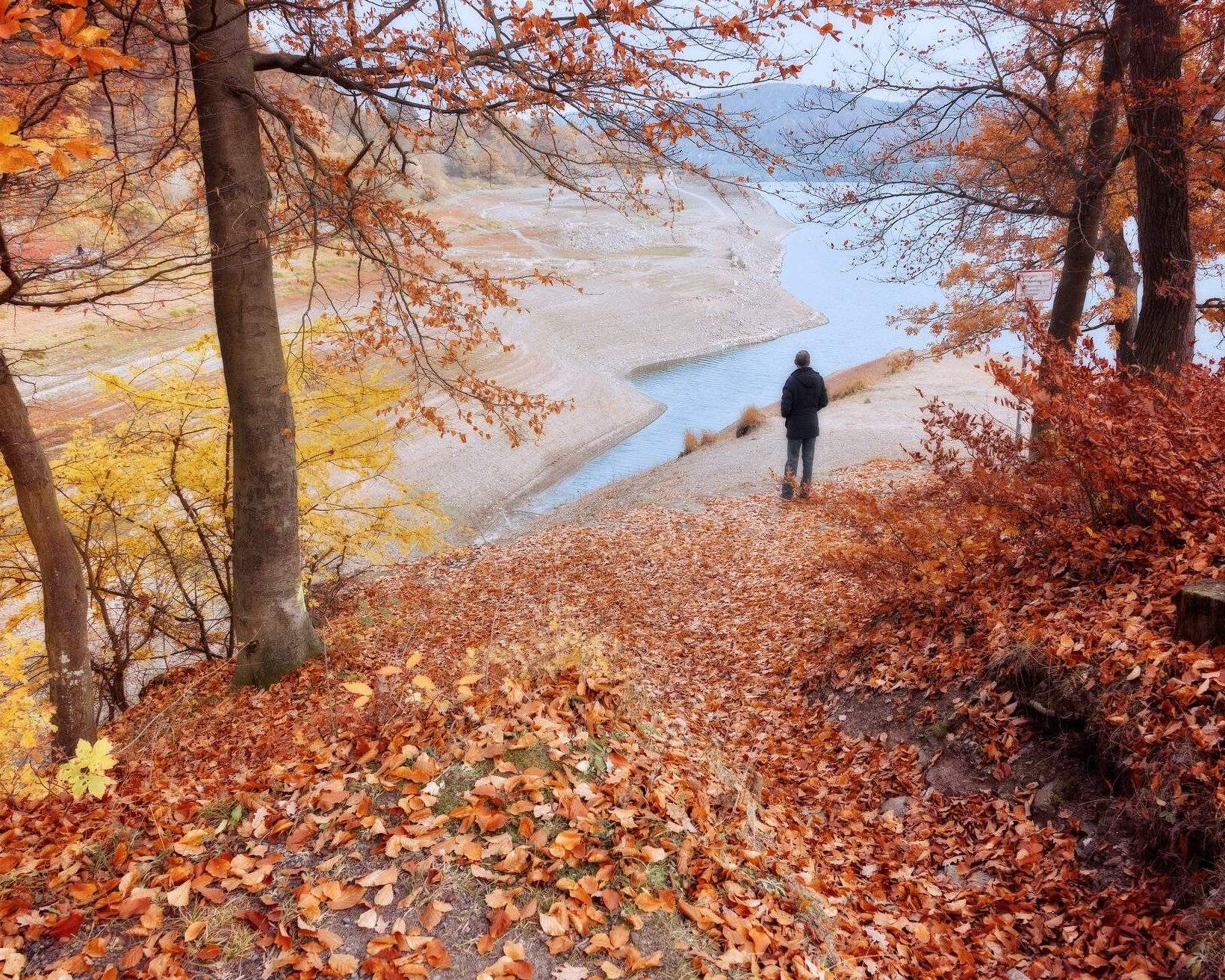 Discover the best places to see autumn leaves in the UK | KAYAK