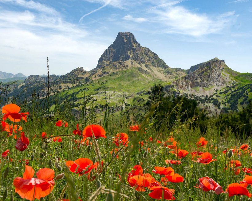 Enjoy a selection of beautiful walks when hiking in France | KAYAK