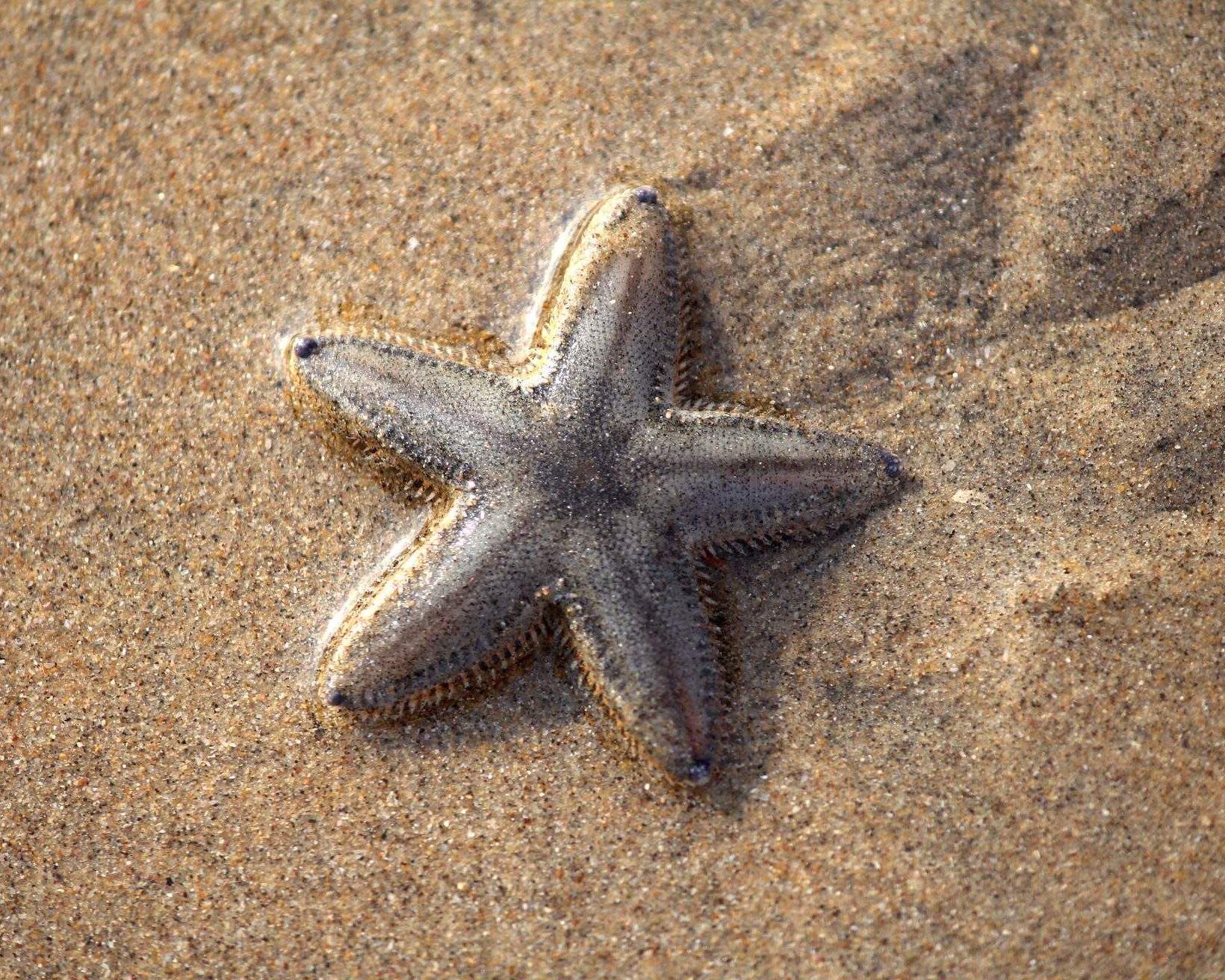 Find your paradise with the best beaches in India | KAYAK