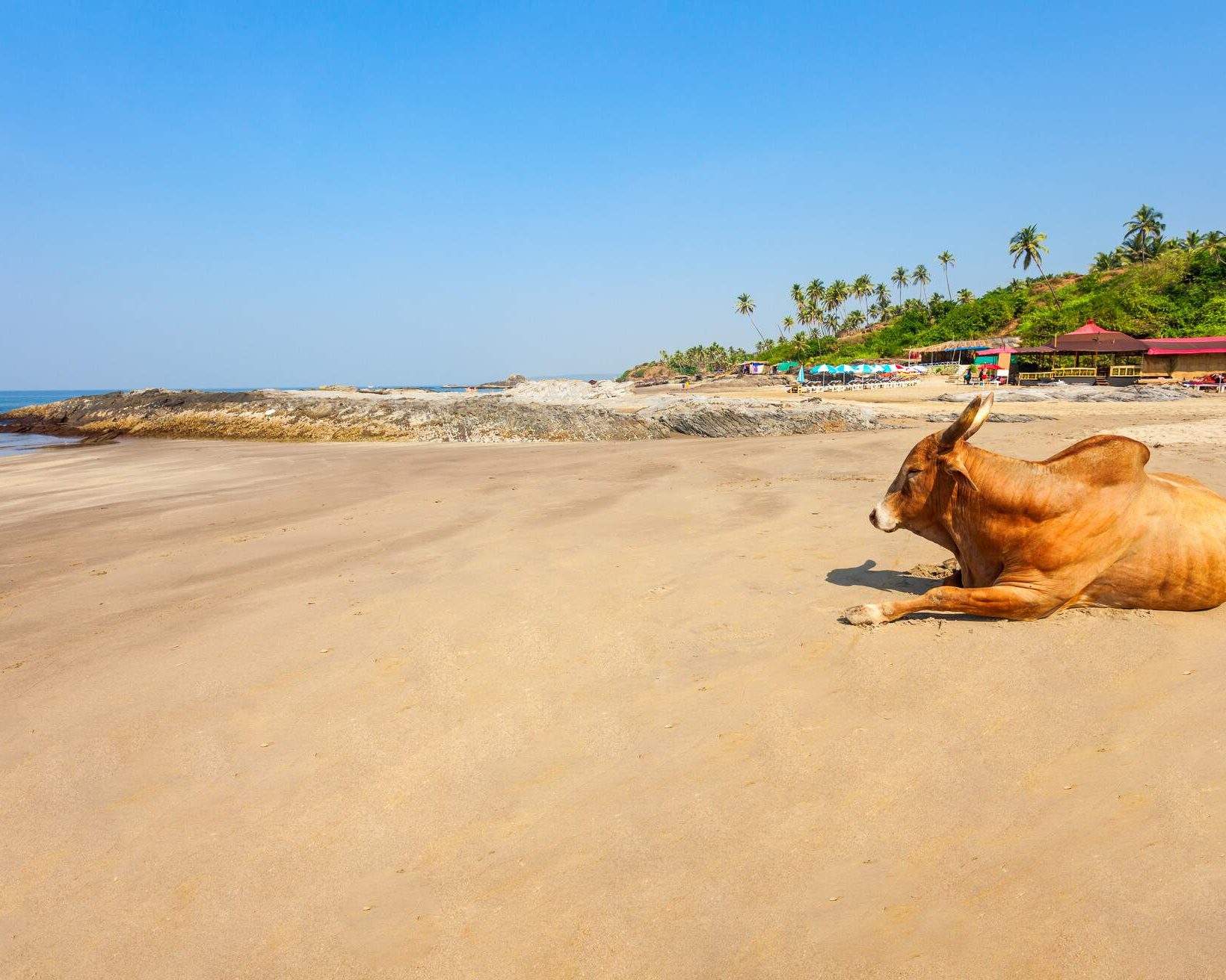 Find out when the best time to visit India is for your trip | KAYAK