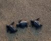 Find your paradise with the best beaches in India | KAYAK
