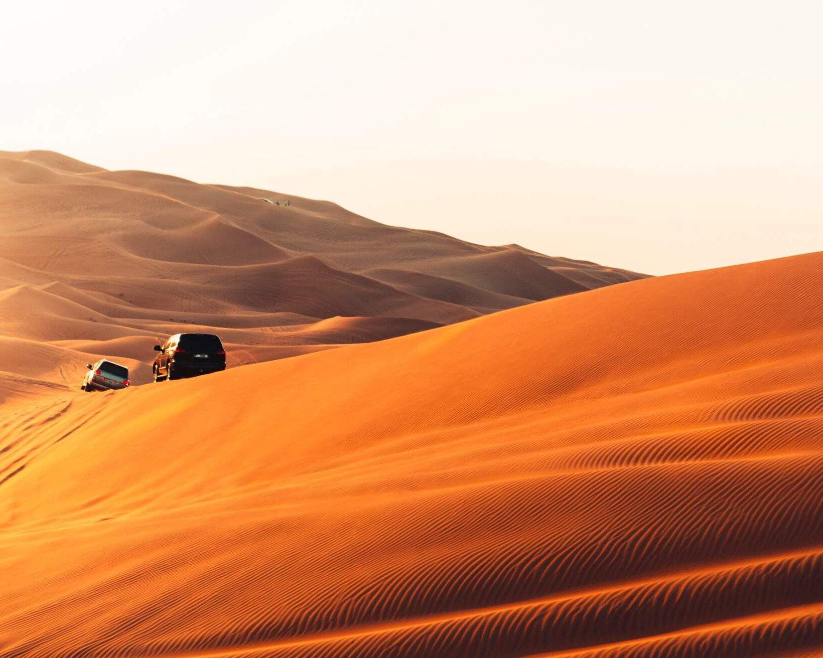 Where is hot in January for some winter sun? | KAYAK