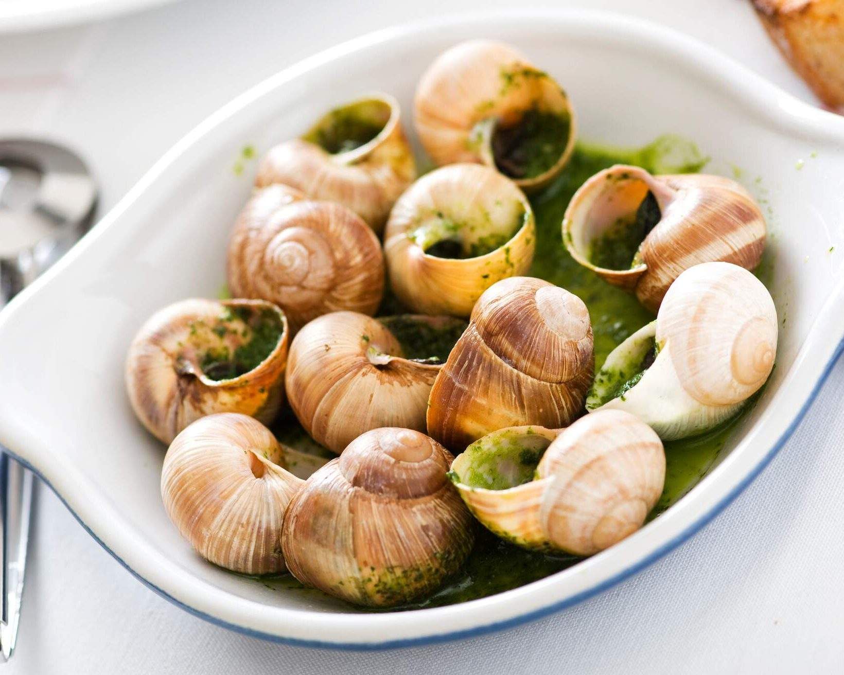 Grazing your way through traditional French food | KAYAK