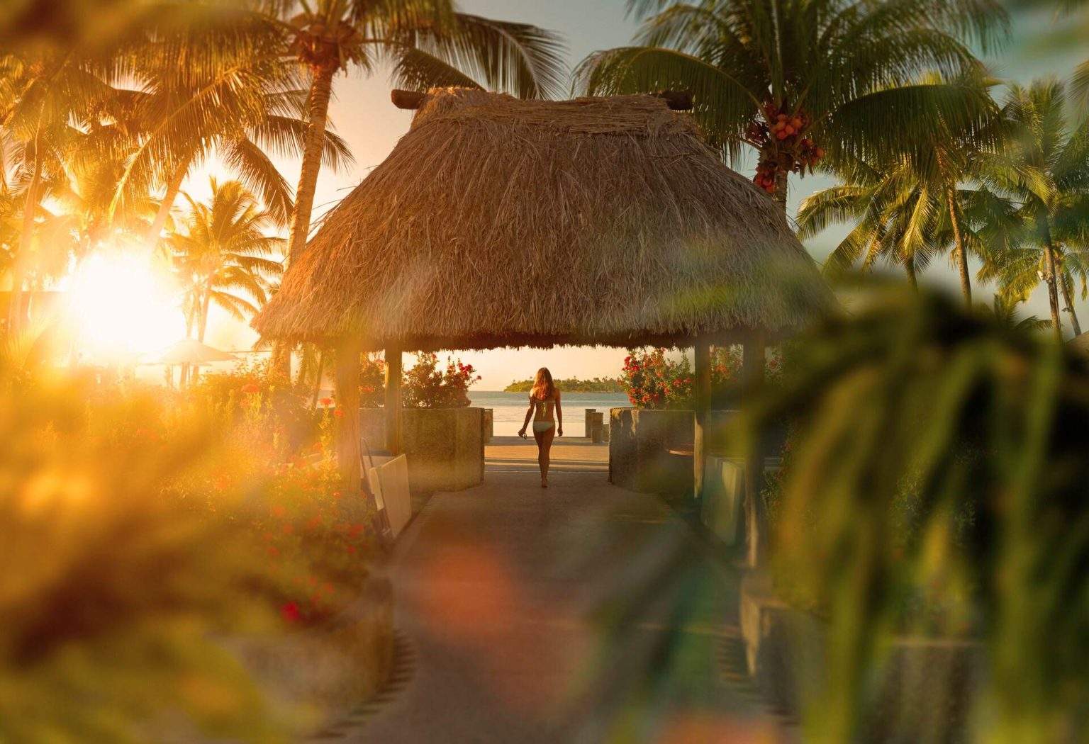 Where is hot in January for some winter sun? | KAYAK