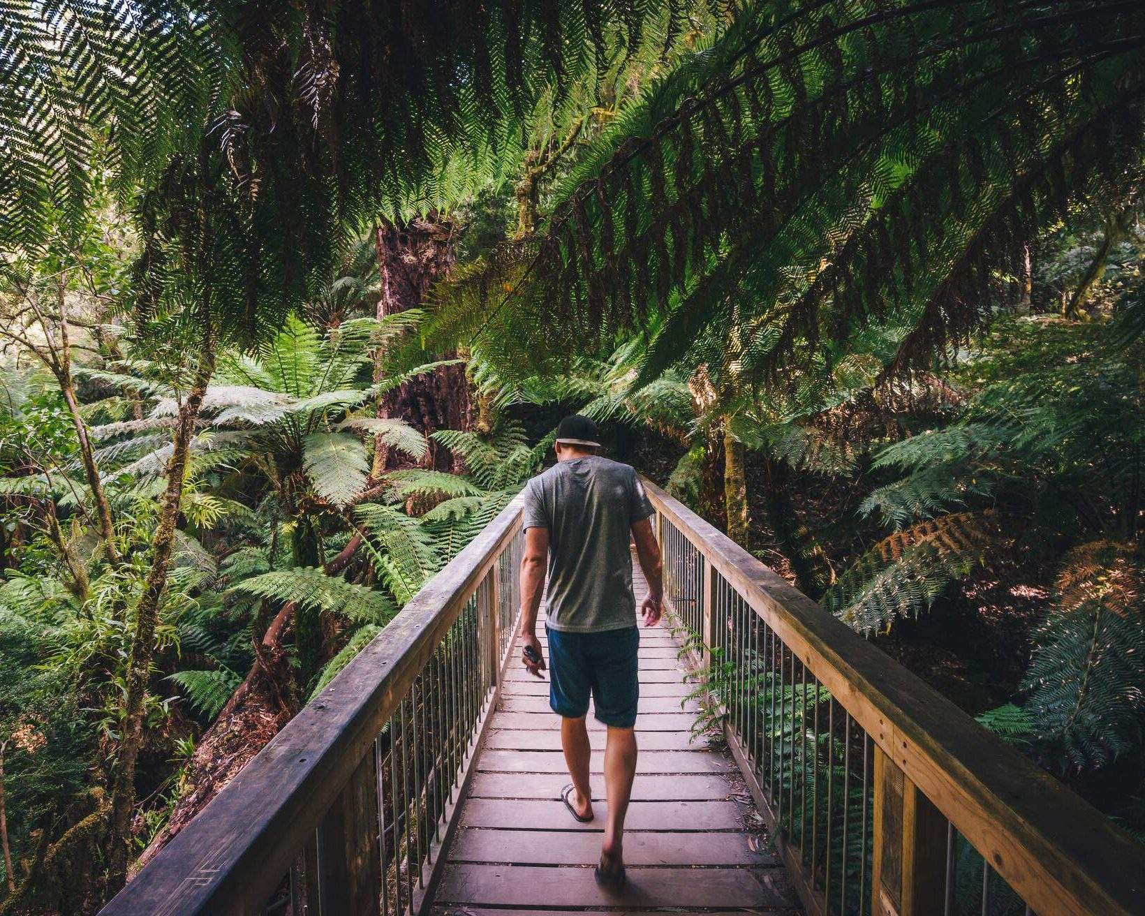 Best tips on trip while backpacking in Australia | KAYAK