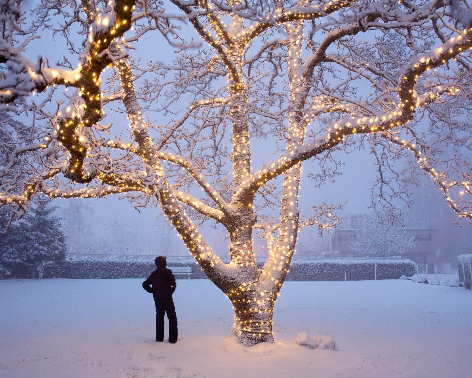 Things to do and see this winter in Canada | KAYAK