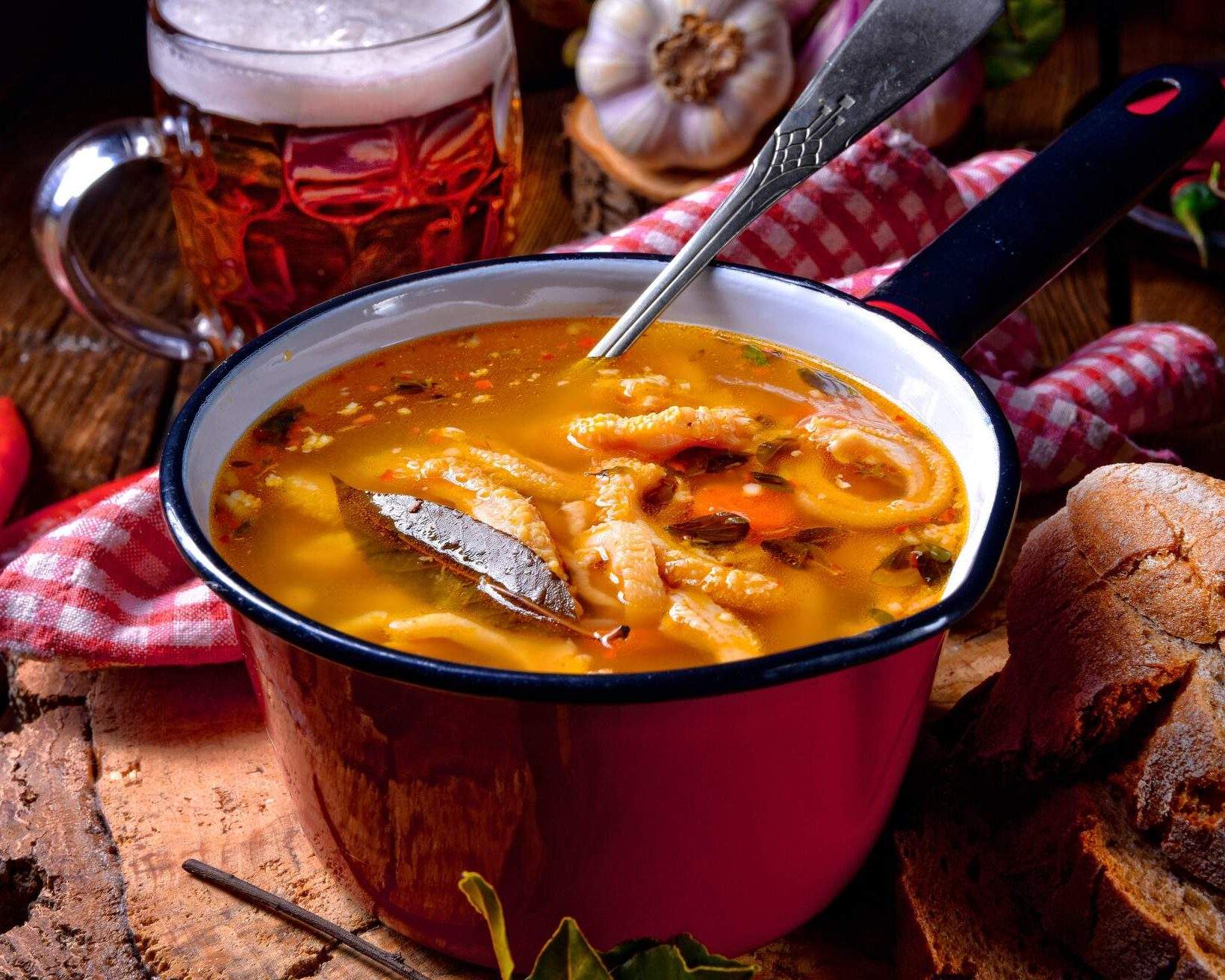 A gastronomic journey of the best traditional Polish food | KAYAK