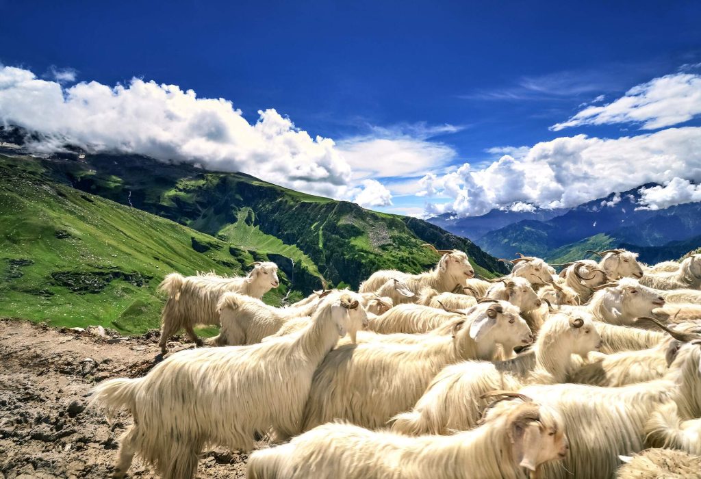 A cursory look at some of the best places to visit in India | KAYAK