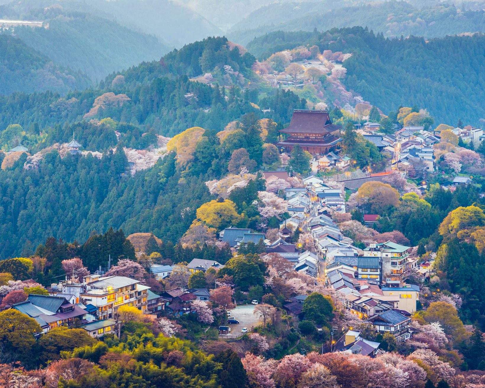 Soak in the sights of the most beautiful places in Japan | KAYAK