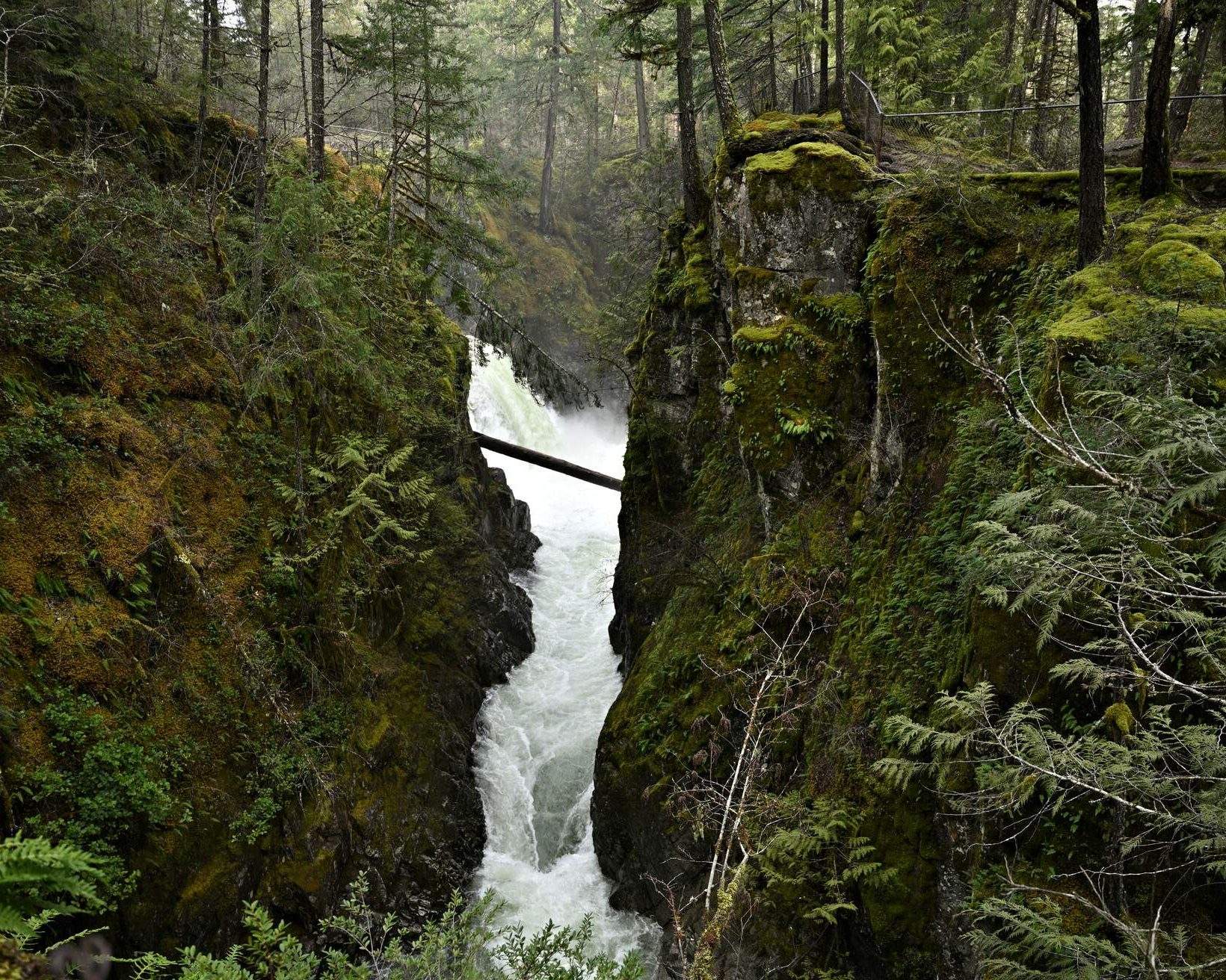 Marvel at the most treasured waterfalls in Canada | KAYAK