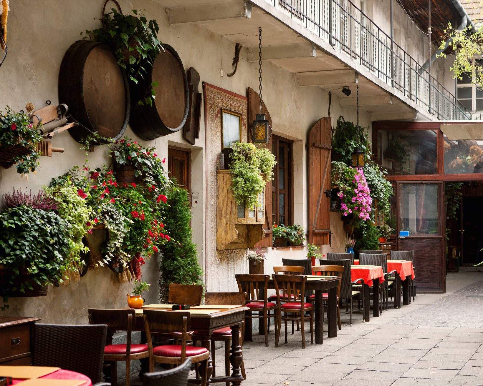Some of the top culinary restaurants in Poland | KAYAK