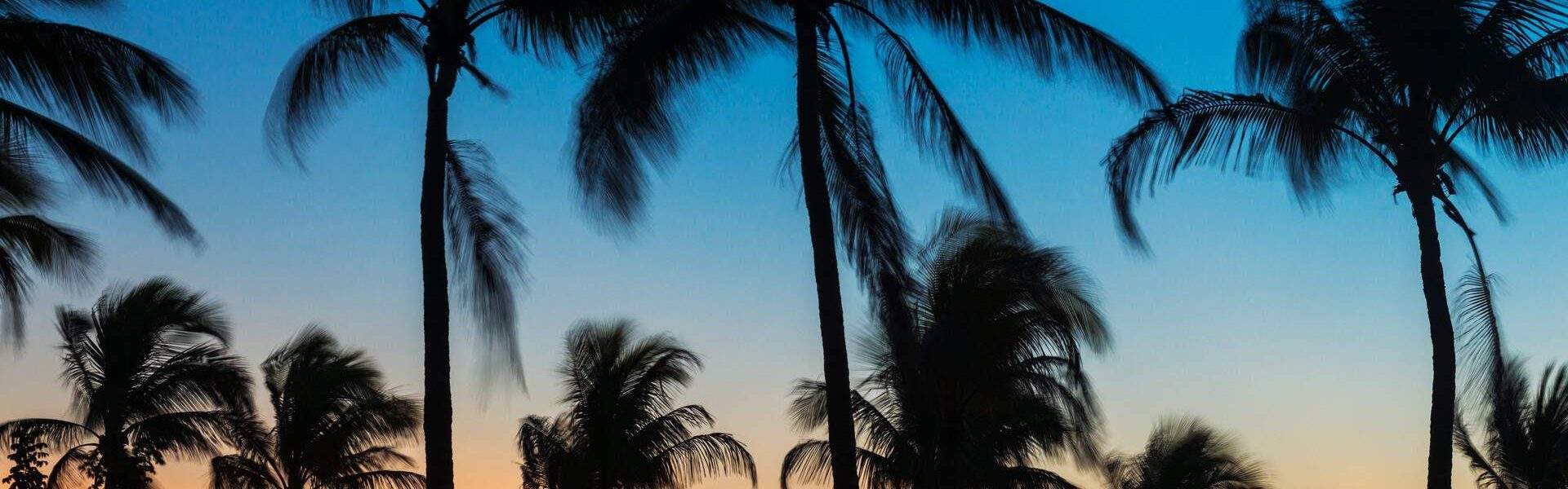 Where is hot in March 2023 for a spring adventure? | KAYAK