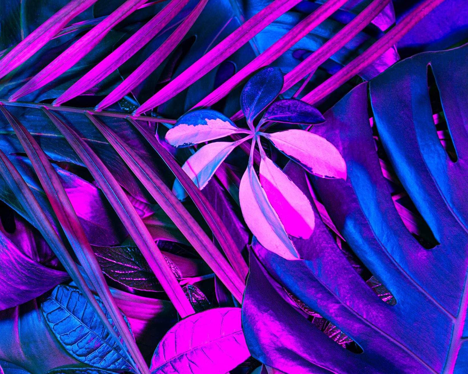 Gay in Edinburgh: The all-in-one guide for LGBTQ travellers | KAYAK