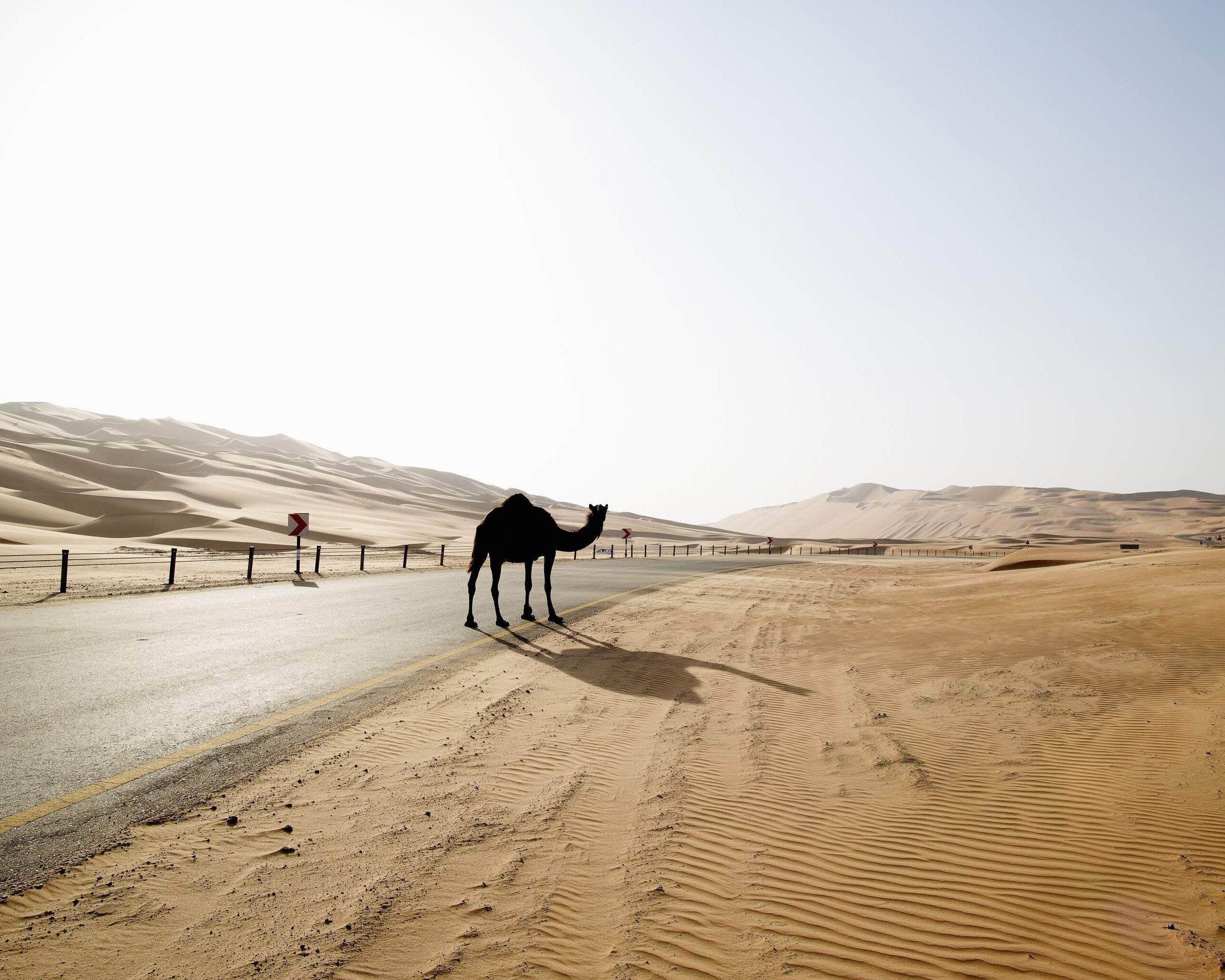 Where is hot in April 2025: the 10 best destinations | KAYAK