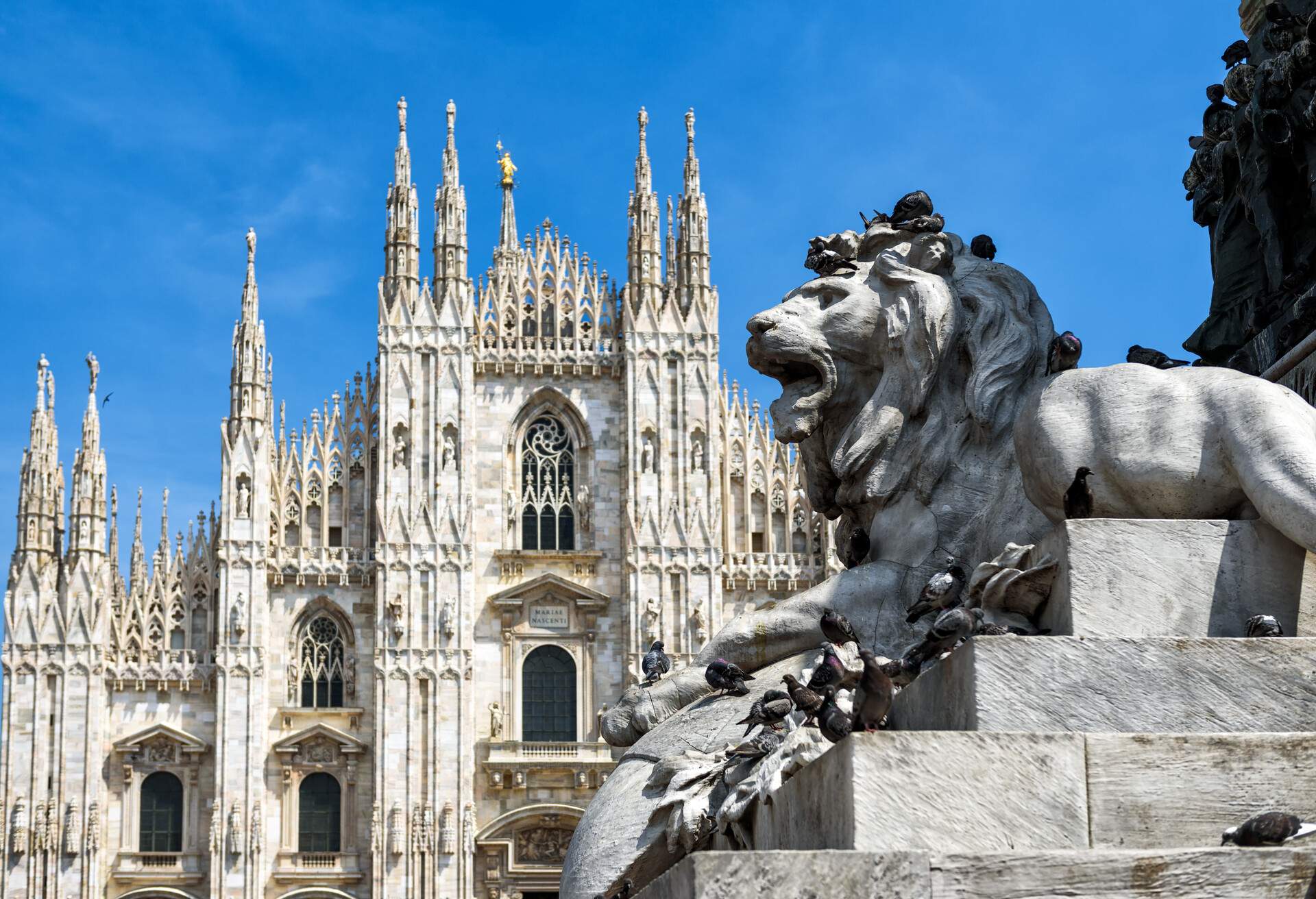 Planning your visit to Milan Cathedral, Duomo di Milano | KAYAK