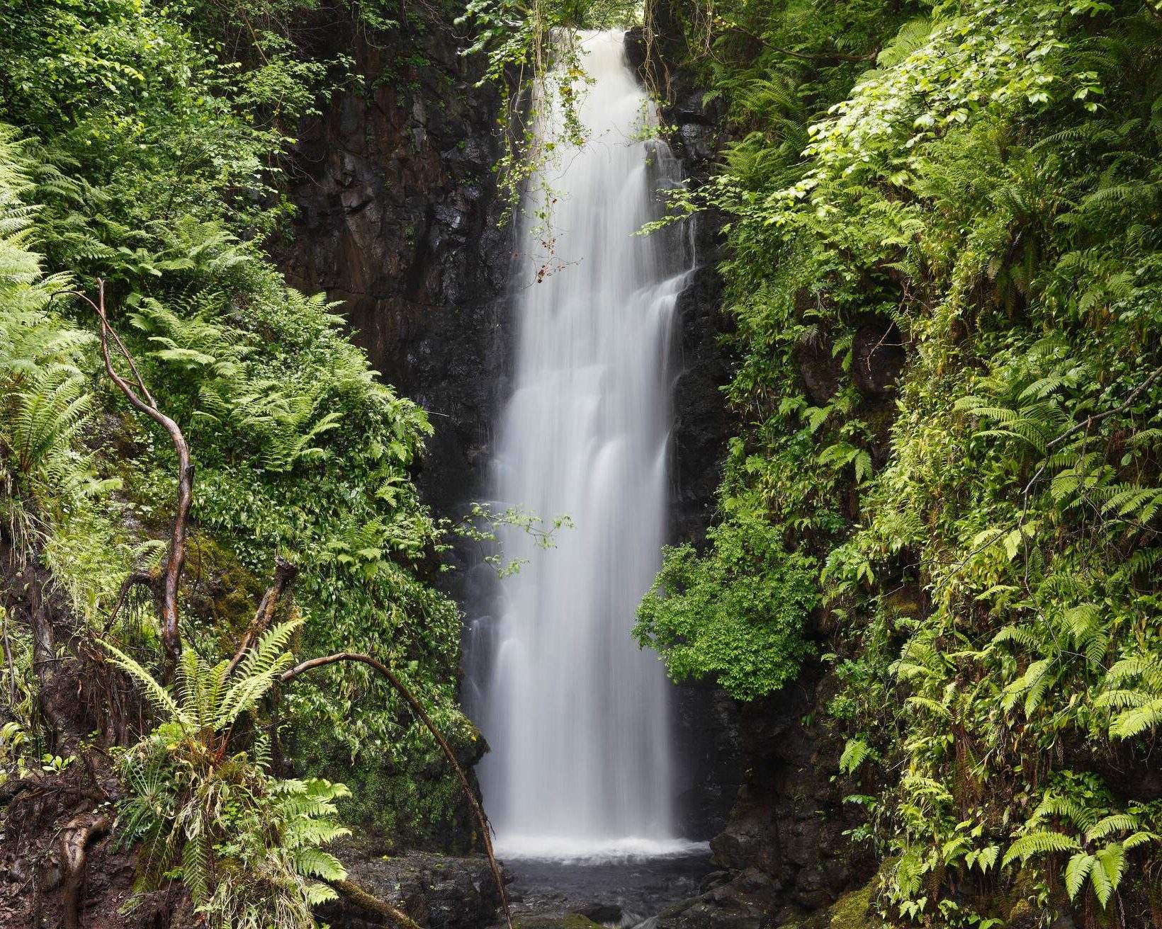 Fascinating, fun Day Trips from Belfast for everyone | KAYAK