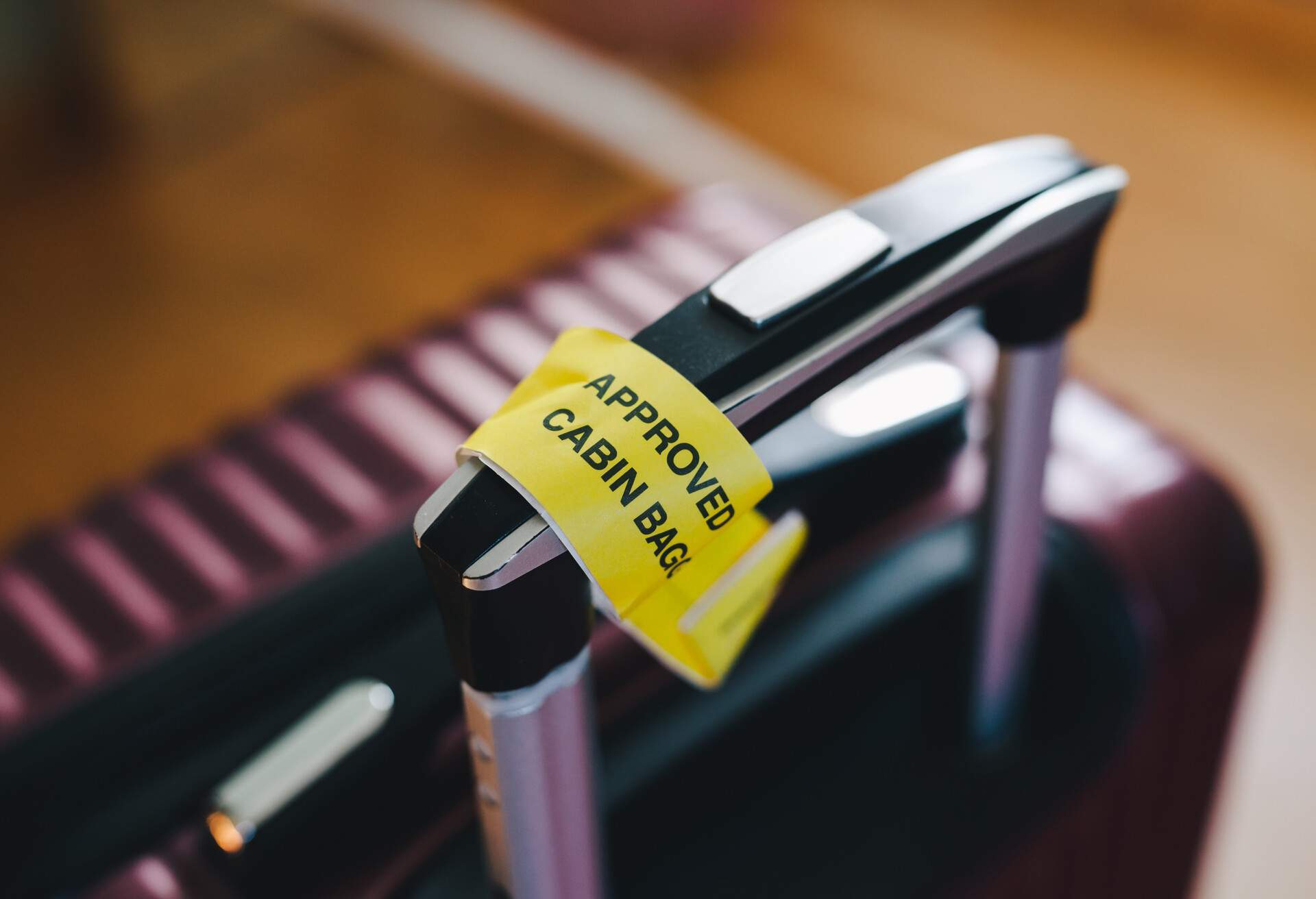 Travel smart: The easy guide to checked baggage rules| KAYAK
