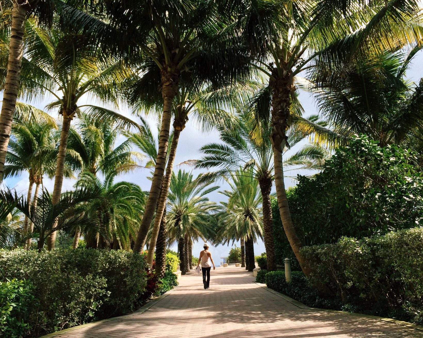 Where is hot in December? 9 destinations for winter sun | KAYAK