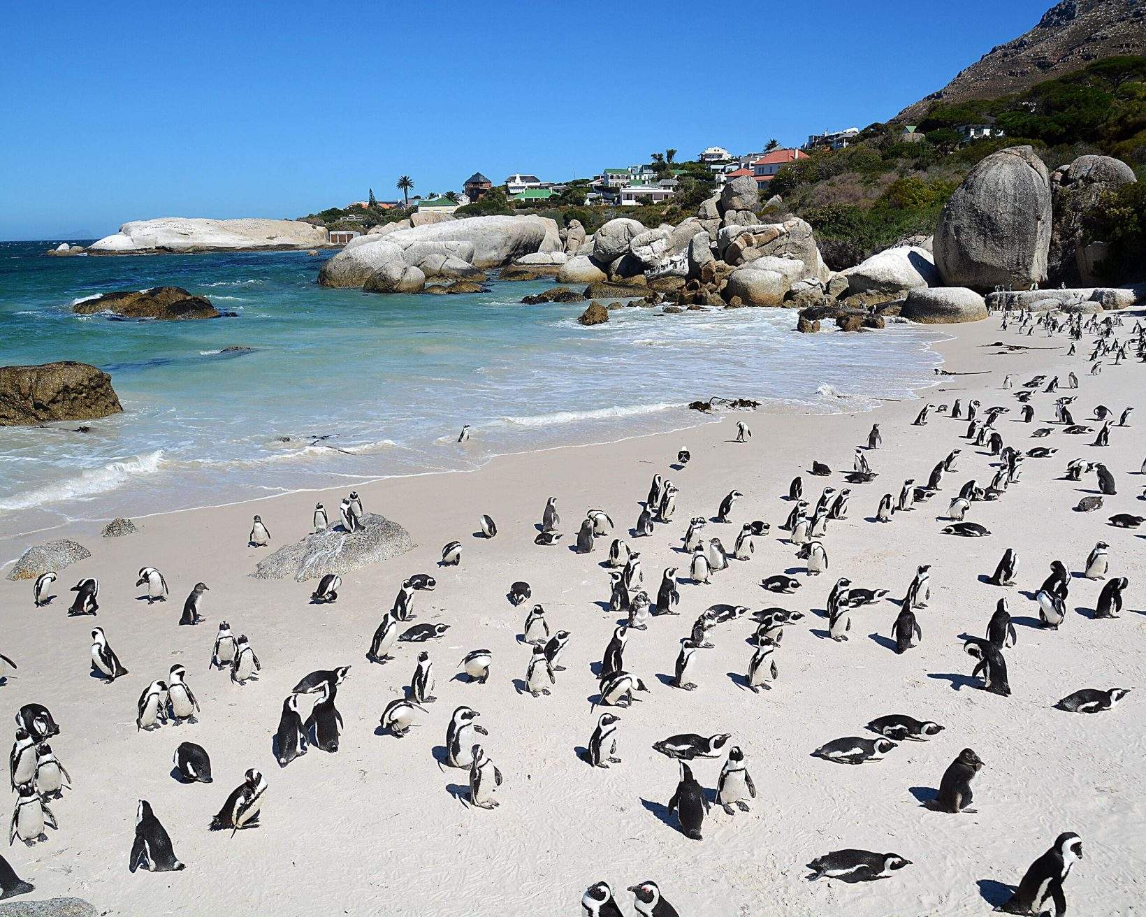 12 of the best places to visit in December | KAYAK