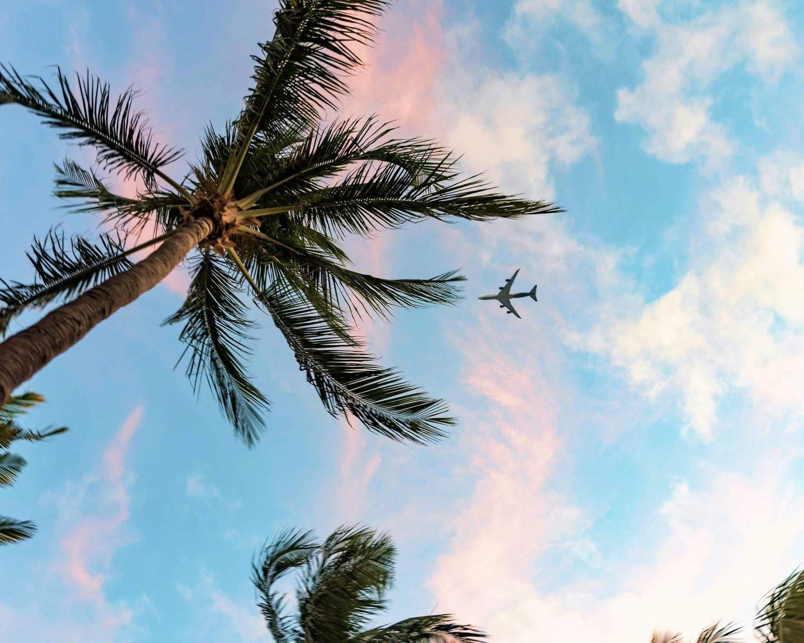 How to find cheap flights to anywhere | KAYAK