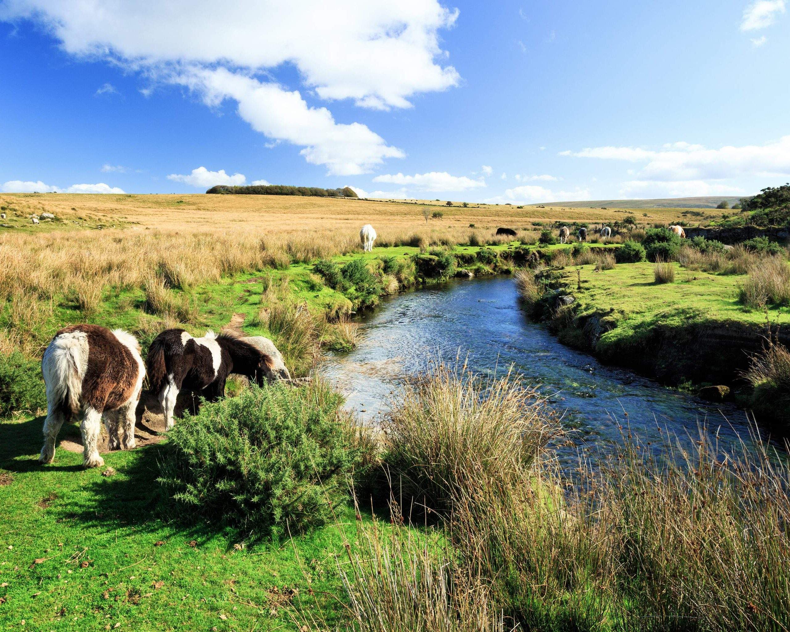 The best 10 weekend breaks in the UK for anytime of year | KAYAK