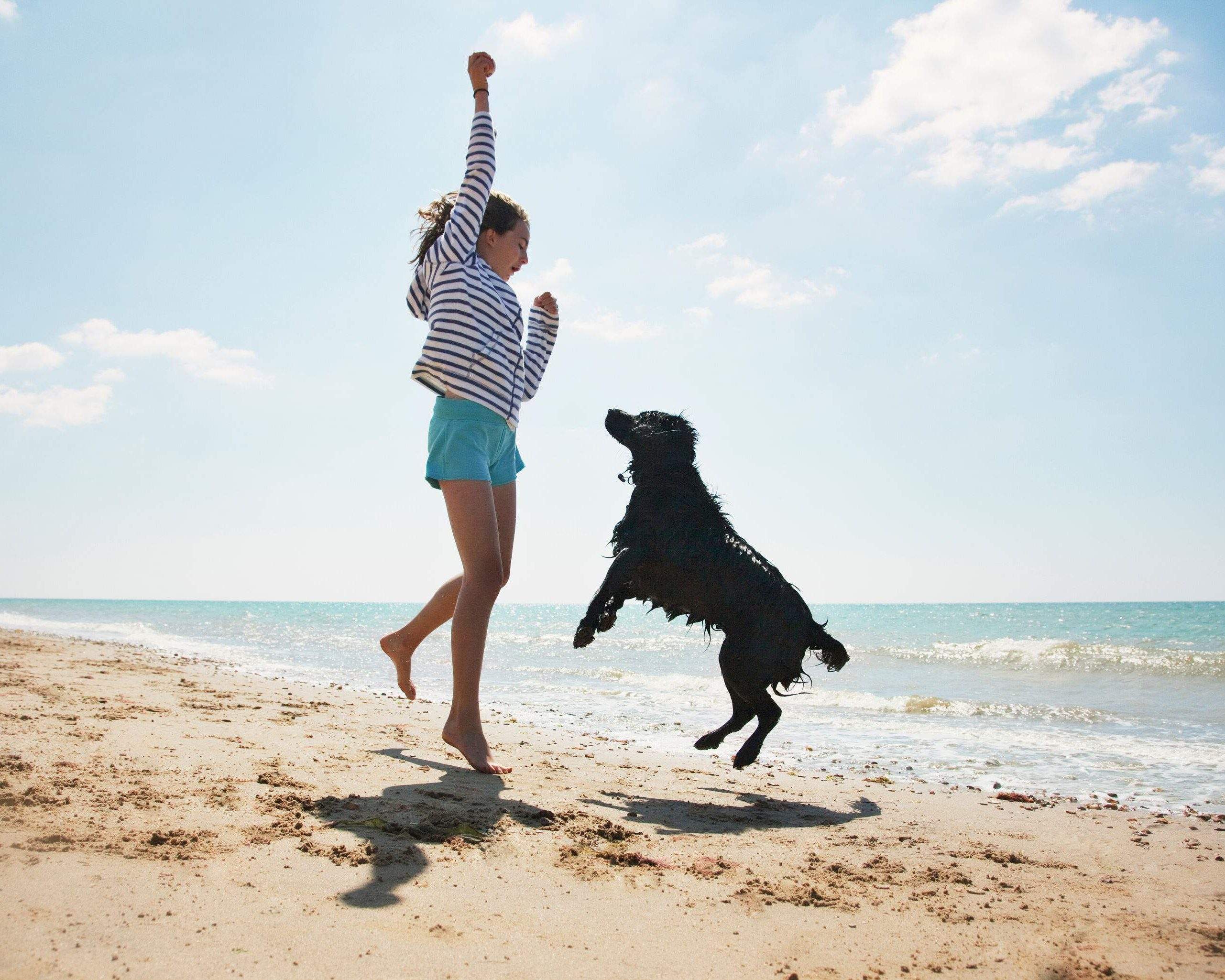 The 6 best beaches near Edinburgh - KAYAK